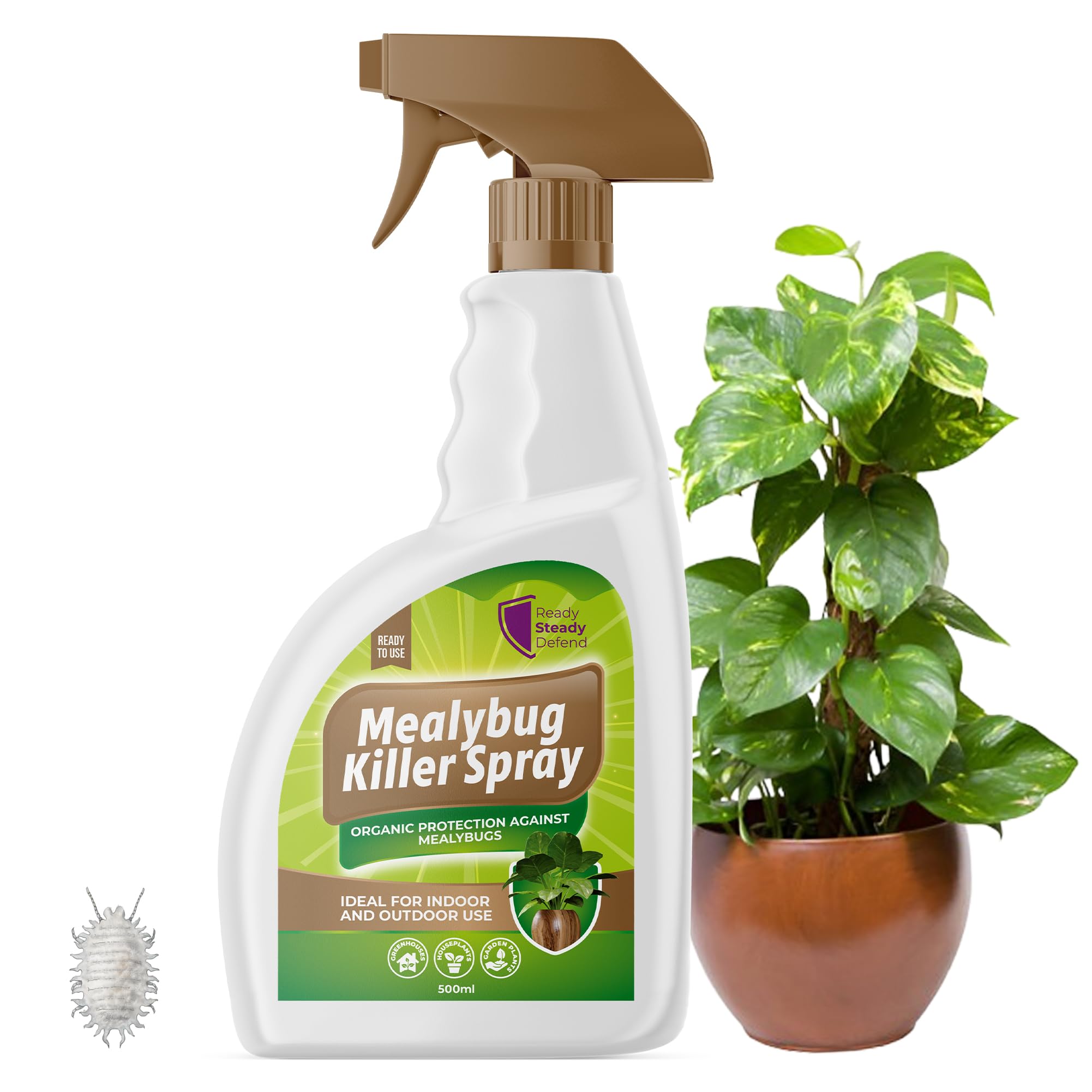 Mealybug Killer Spray 500ml